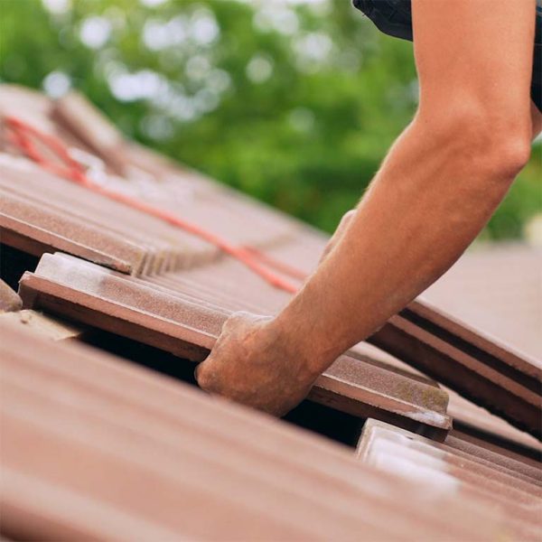 Roofing Contractor in Sarasota, FL | Riley Roofing